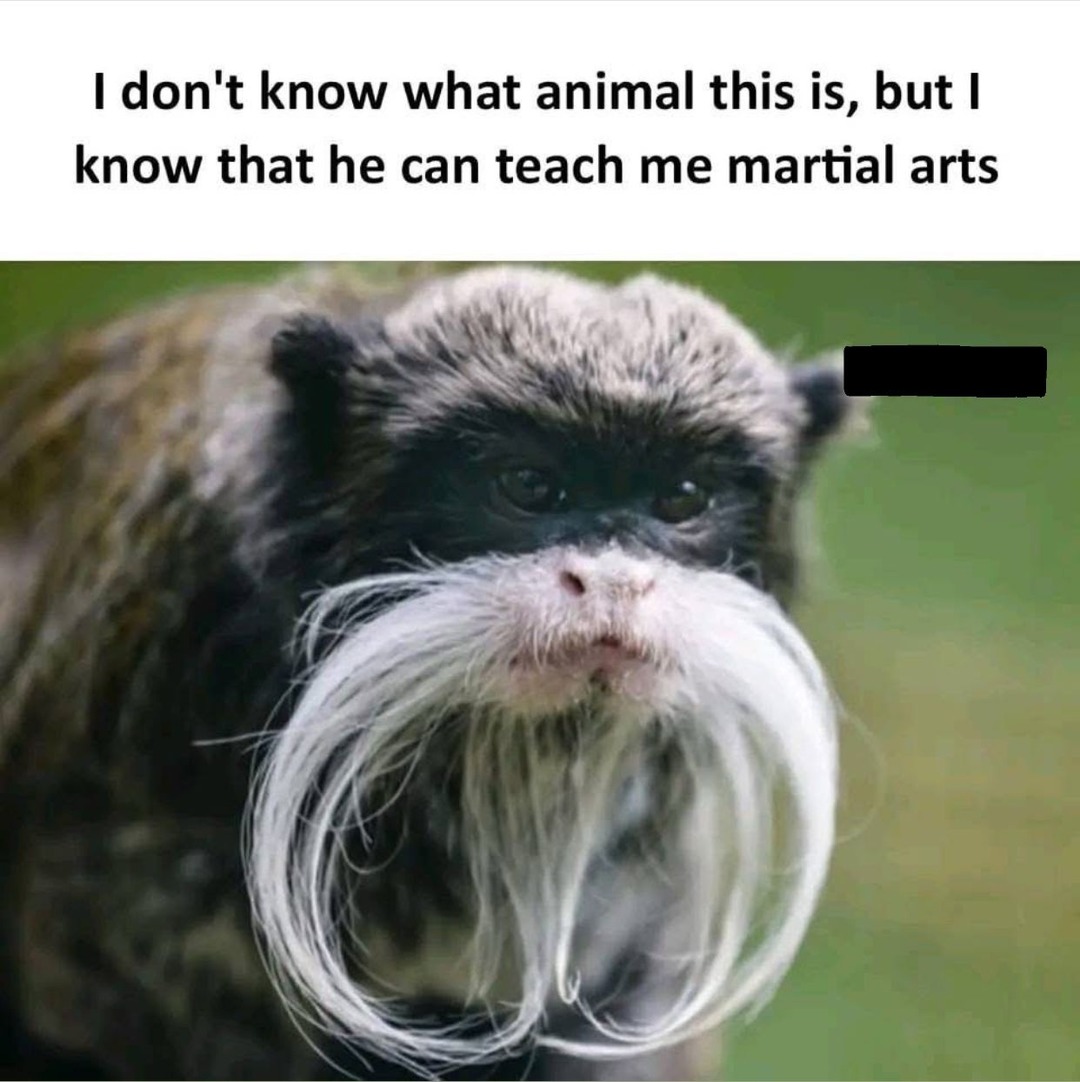 Latest memes / New memes :) Memedroid