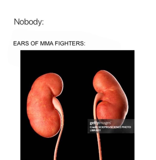 The best Mma memes :) Memedroid