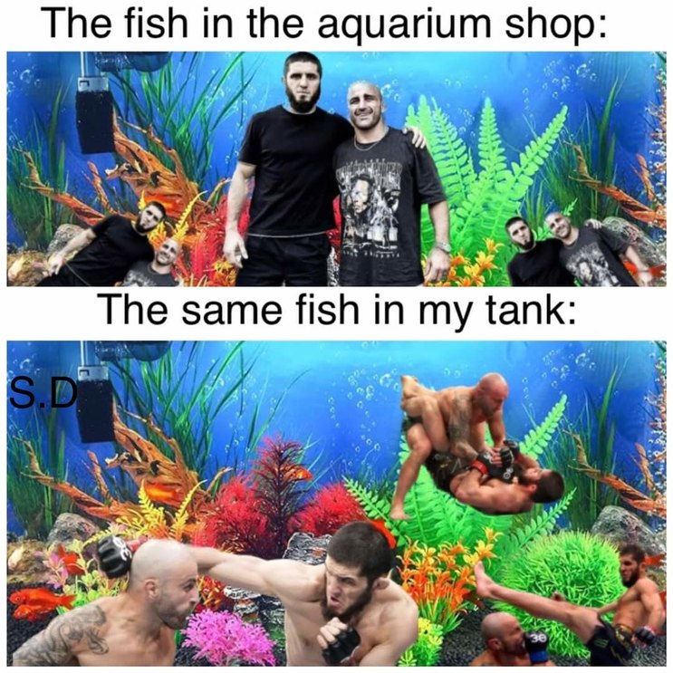 The Latest Memes :) Memedroid