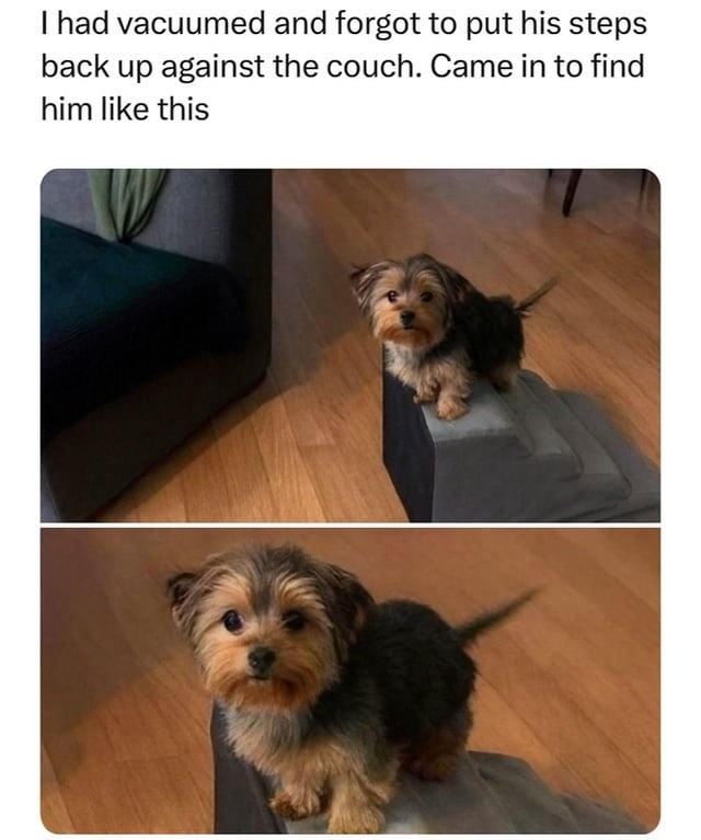 The best Home memes :) Memedroid