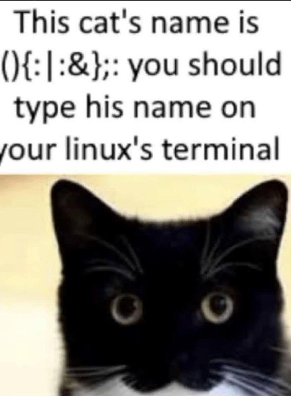 The best Terminal memes :) Memedroid