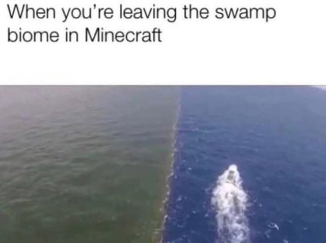 Swamp Man Meme