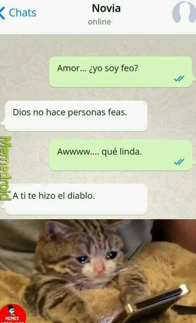 Los Últimos Memes :) Memedroid