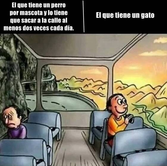 Los Últimos Memes :) Memedroid