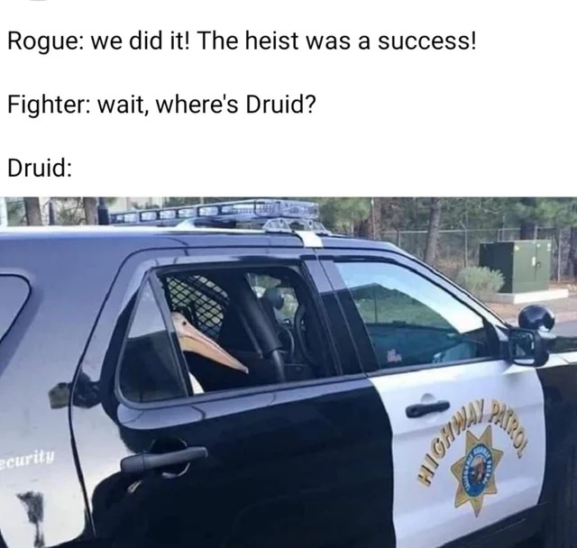 Druid DnD meme - Meme by seychelpsyop :) Memedroid