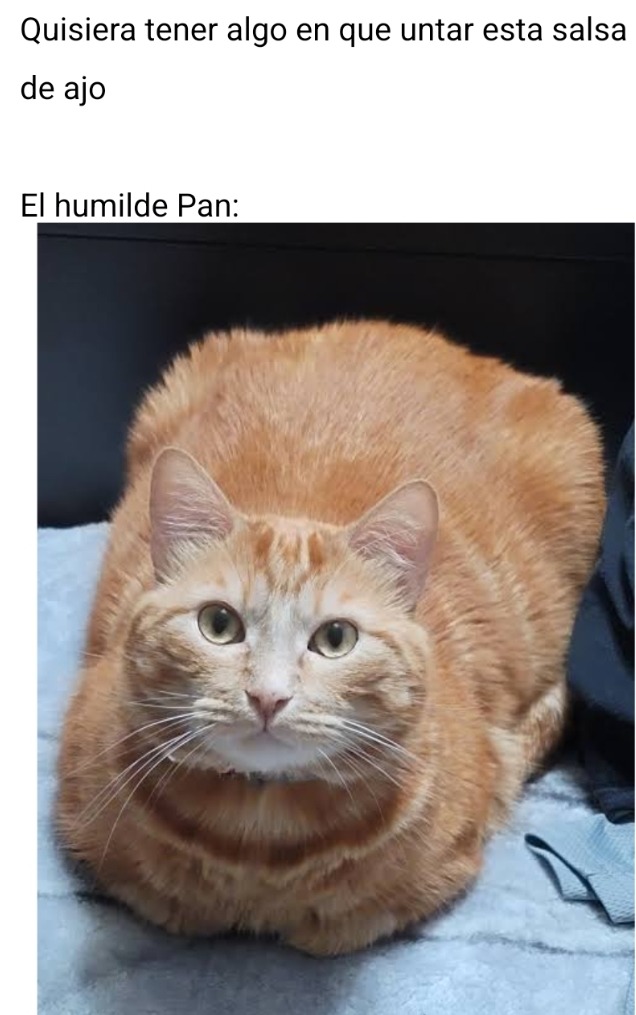 Top memes de Pan en español :) Memedroid