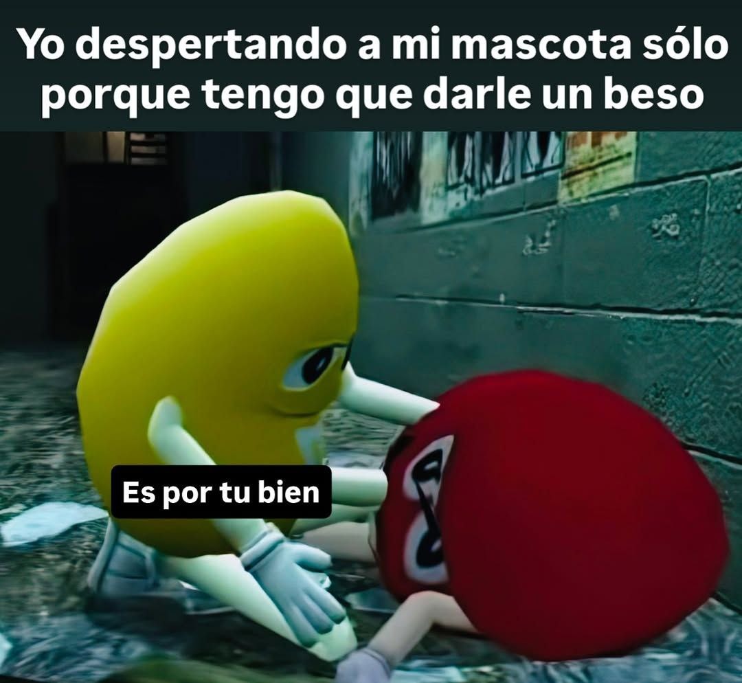 Top memes de Perros en español :) Memedroid