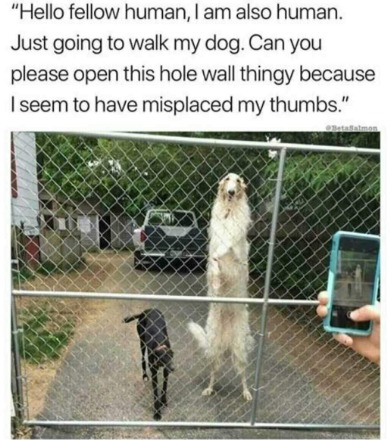 The best Tall memes :) Memedroid