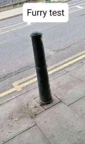 Latest memes :) Memedroid