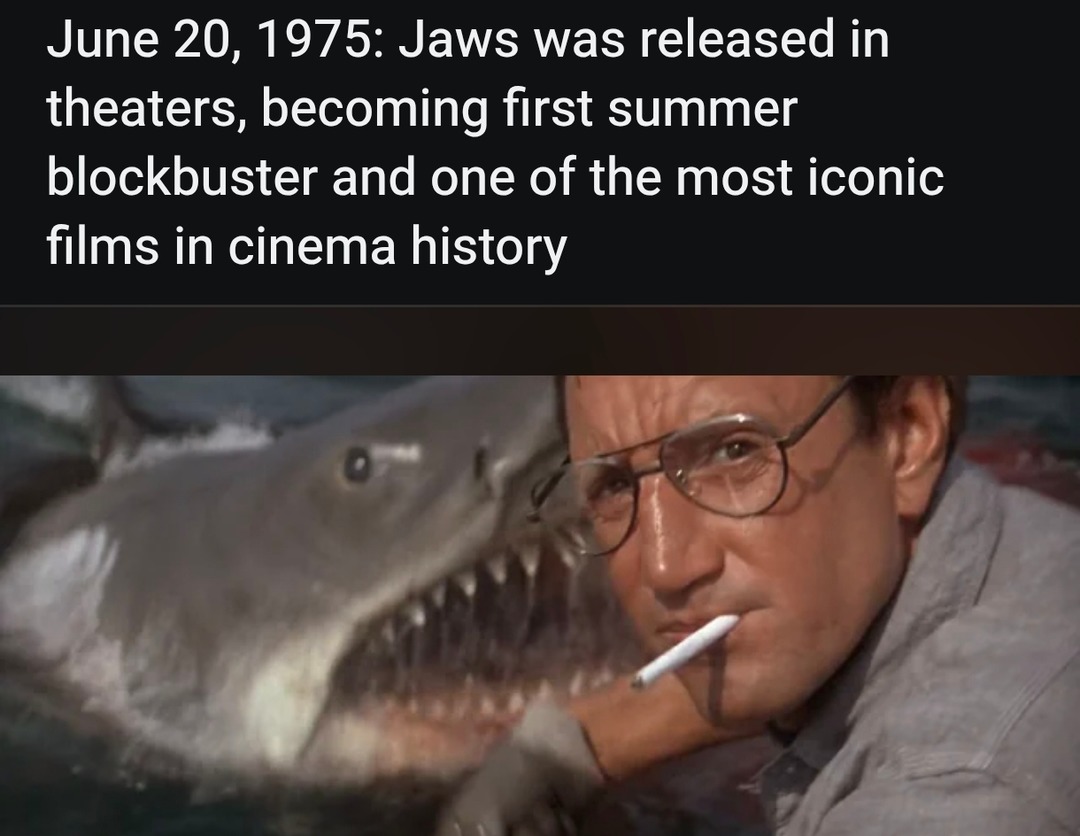 The best Jaws memes :) Memedroid