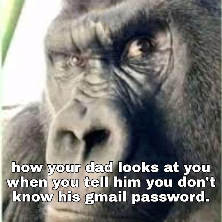 The best Gmail memes :) Memedroid