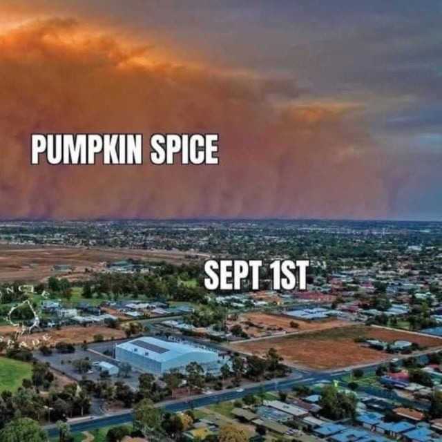 The Funniest Fall Memes :) Memedroid