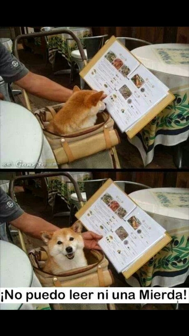 no sabe leer hachiko xD - Meme subido por Madafacars :) Memedroid