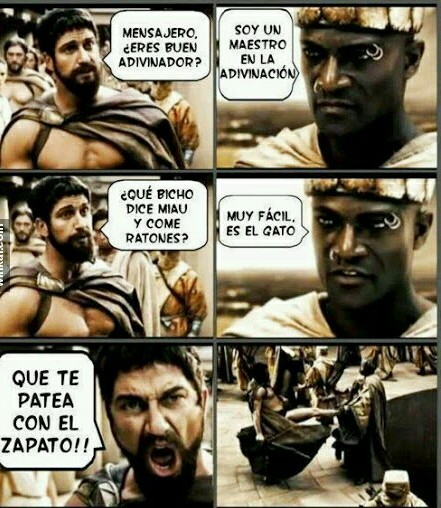 jajajaja el Gato - Meme subido por Silvestack :) Memedroid