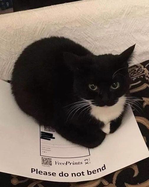 Hello - Meme subido por Fernanlol5 :) Memedroid