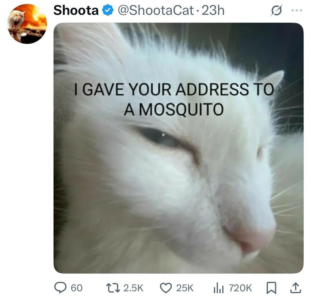 The best Mosquito memes :) Memedroid