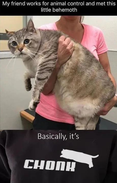 The best Beastmode memes :) Memedroid