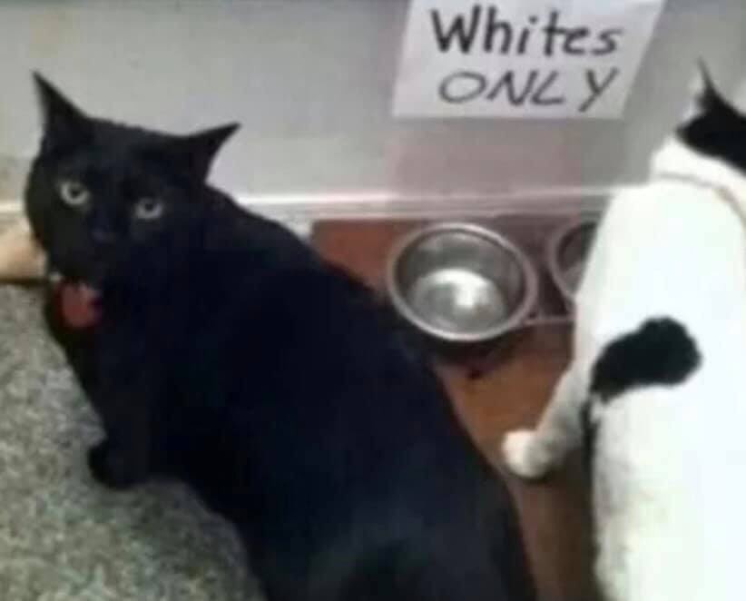 Le segregation - Meme by DrinkBeer :) Memedroid