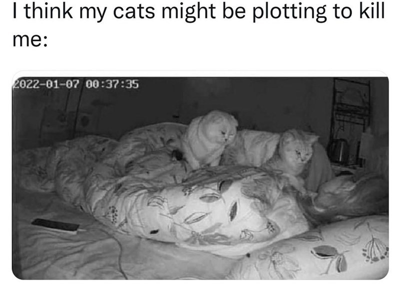 ploting - Meme subido por memelord713 :) Memedroid