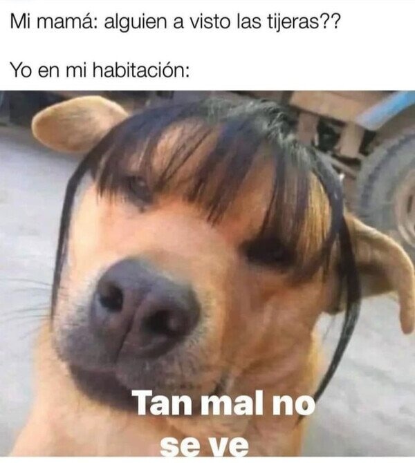 Los Últimos Memes :) Memedroid