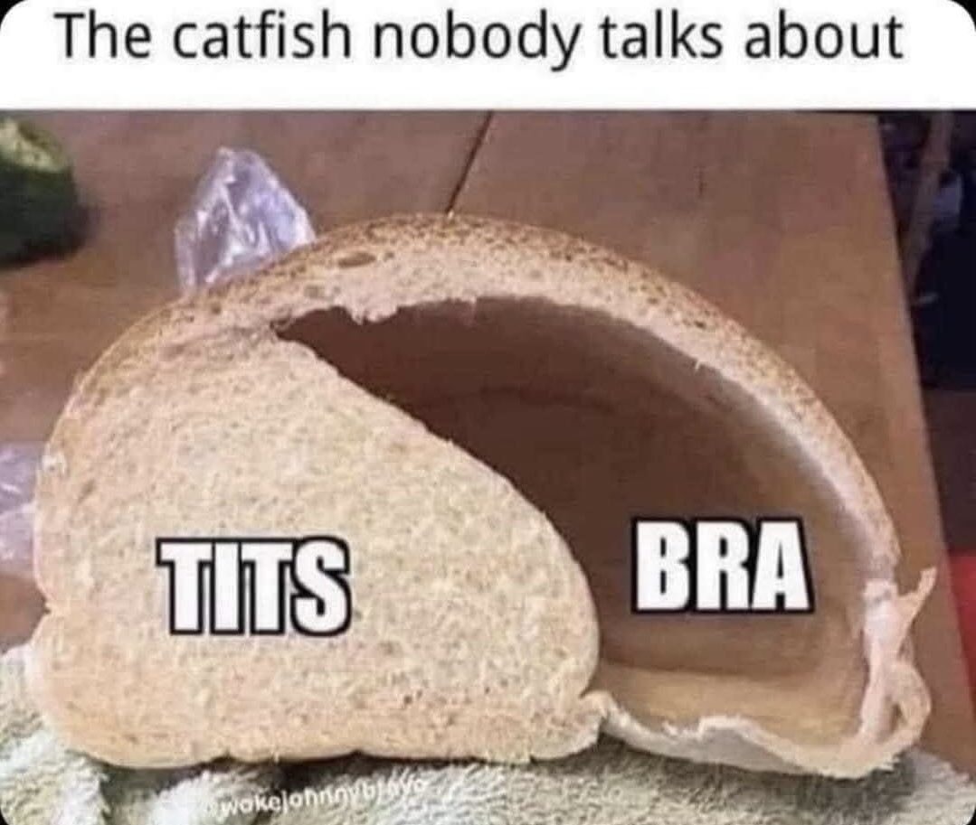 The best Bra memes :) Memedroid