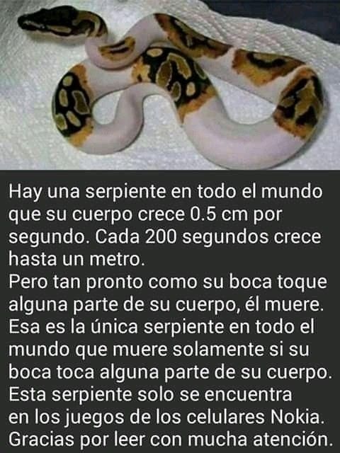Top memes de Serpientes en español :) Memedroid