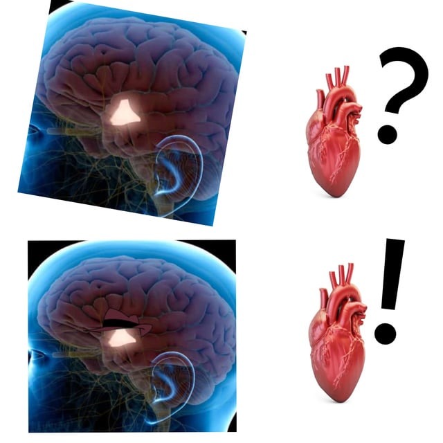 The best Biology memes :) Memedroid