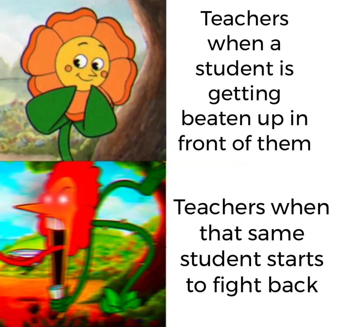 Memedroid - The best site to see, rate and share funny memes and pics!