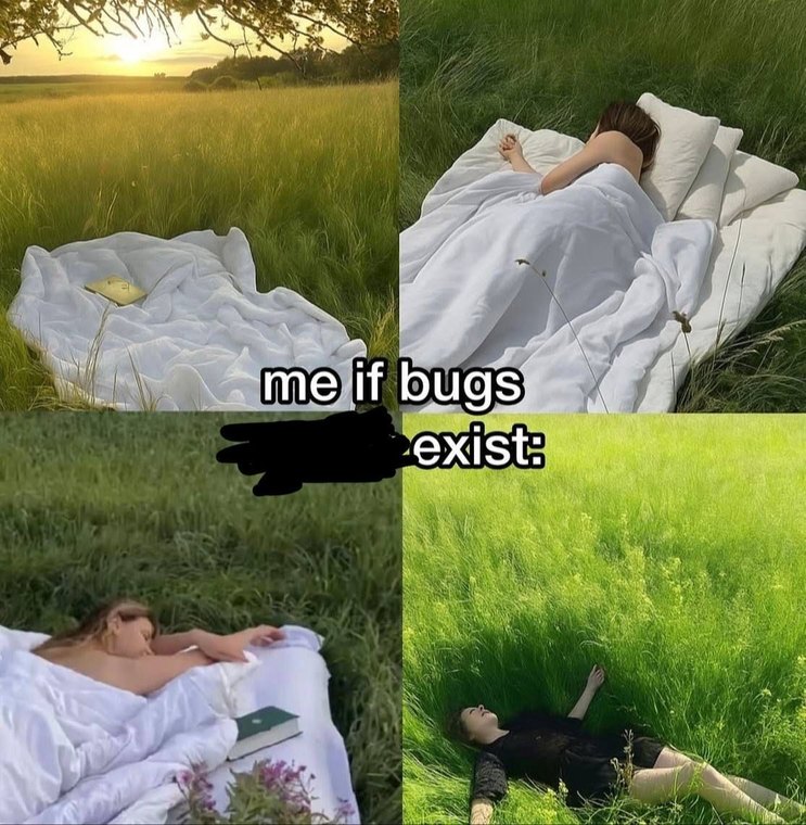 The best Developer memes :) Memedroid