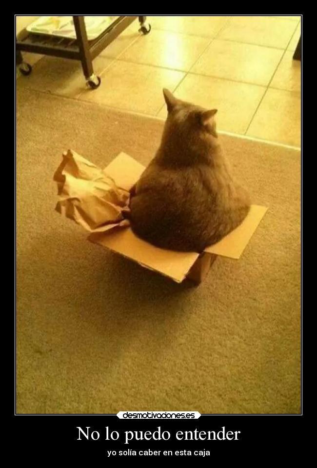 Ola que tal - Meme subido por -diablo- :) Memedroid