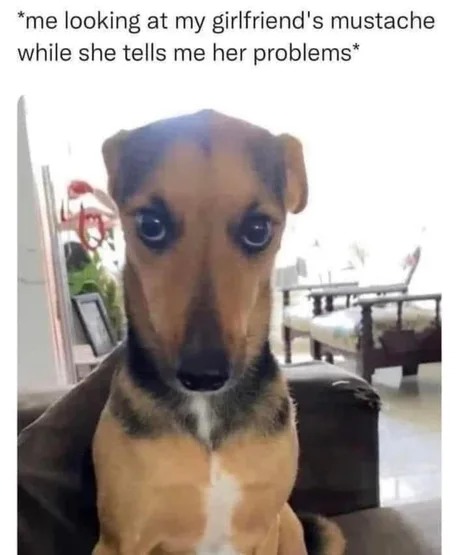 Latest memes / New memes :) Memedroid