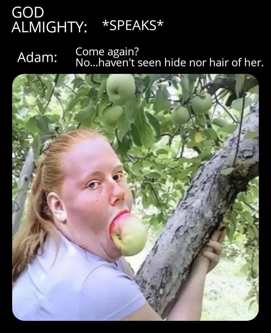 Latest memes / New memes :) Memedroid