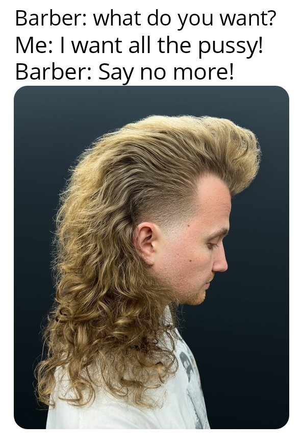 Bad Mullet Memes