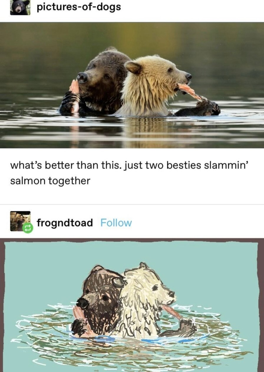 The best Frogndtoad memes :) Memedroid