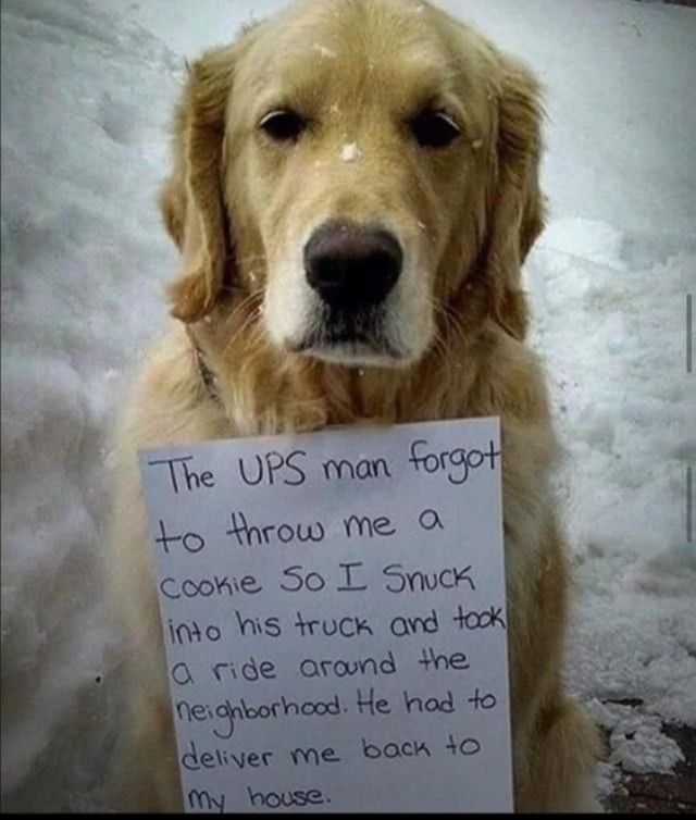 The best Ups memes :) Memedroid