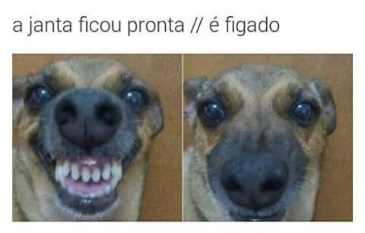 Ecu ecu ecu - Meme by JoseaneElizabety :) Memedroid