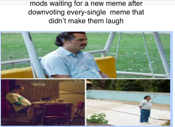 The best Paplo memes :) Memedroid