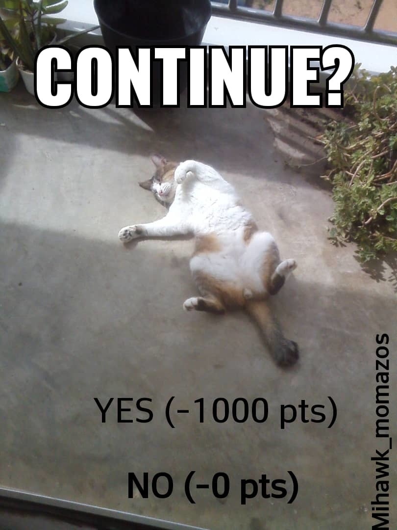 este momazo no es un especial, pero igual saben que ya sigo vivo ...