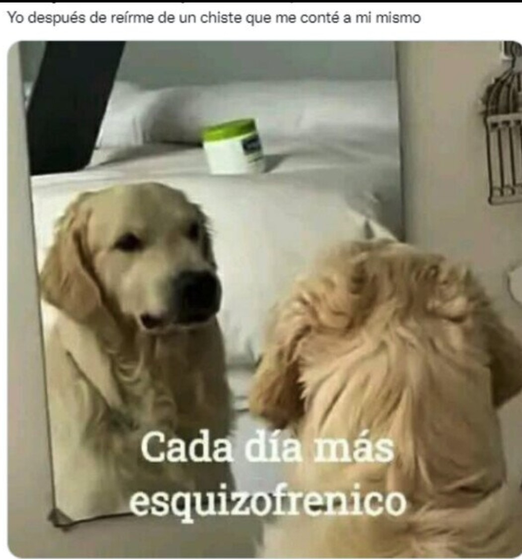 Locura - Meme subido por Guiso_de_mondongo10 :) Memedroid