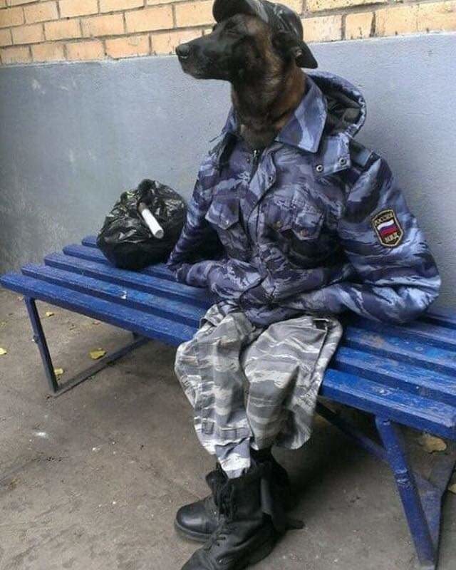 Comrade Doggo is watching you - Meme by deleted_133b52e047b :) Memedroid