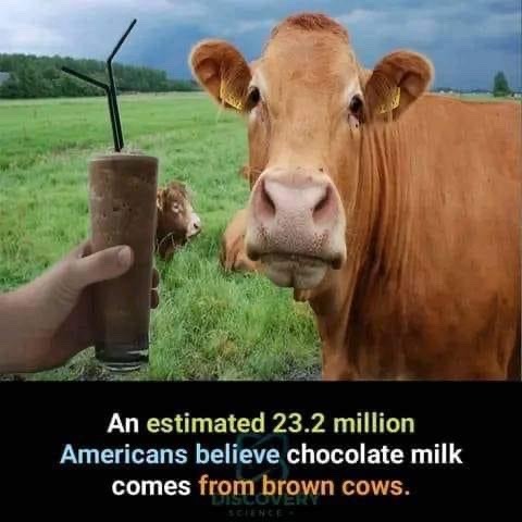 The best Cow memes :) Memedroid