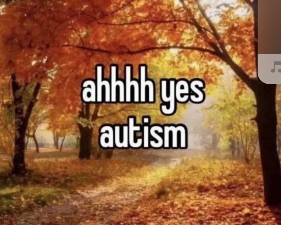 Latest memes :) Memedroid