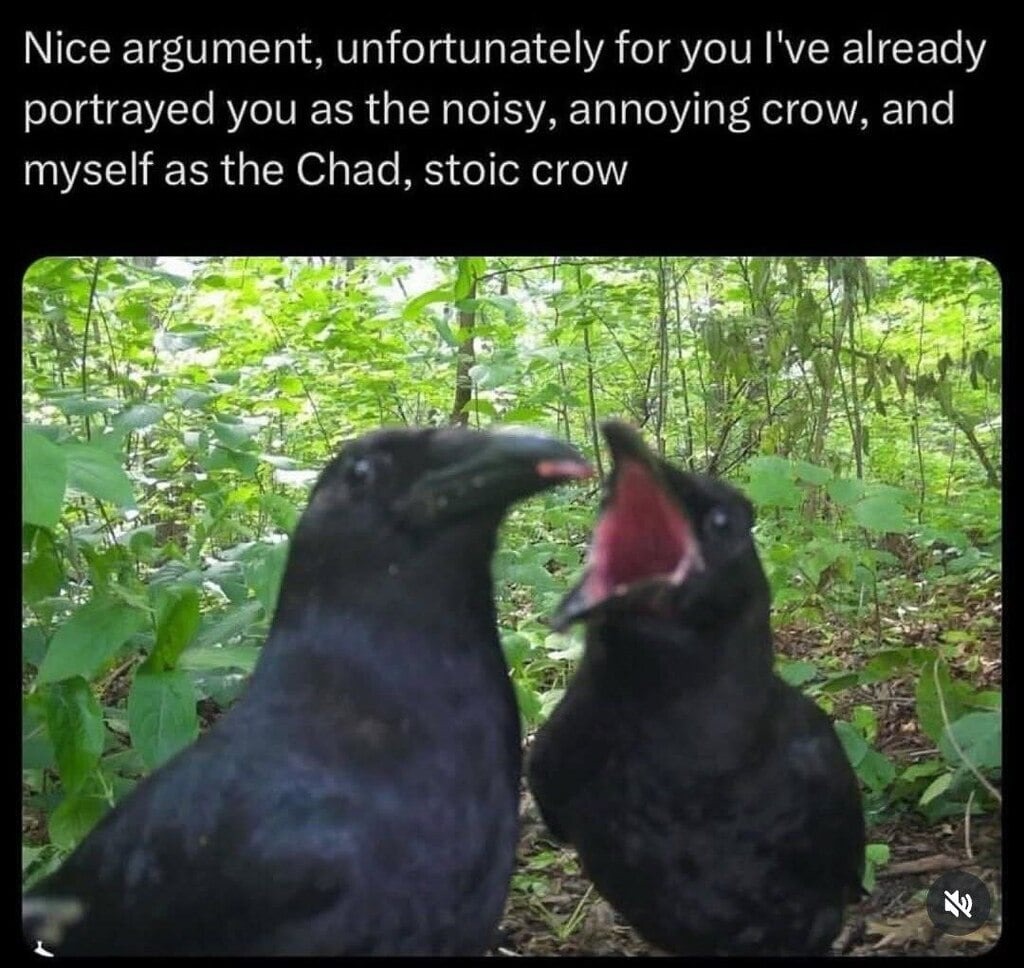 The best Crow memes :) Memedroid