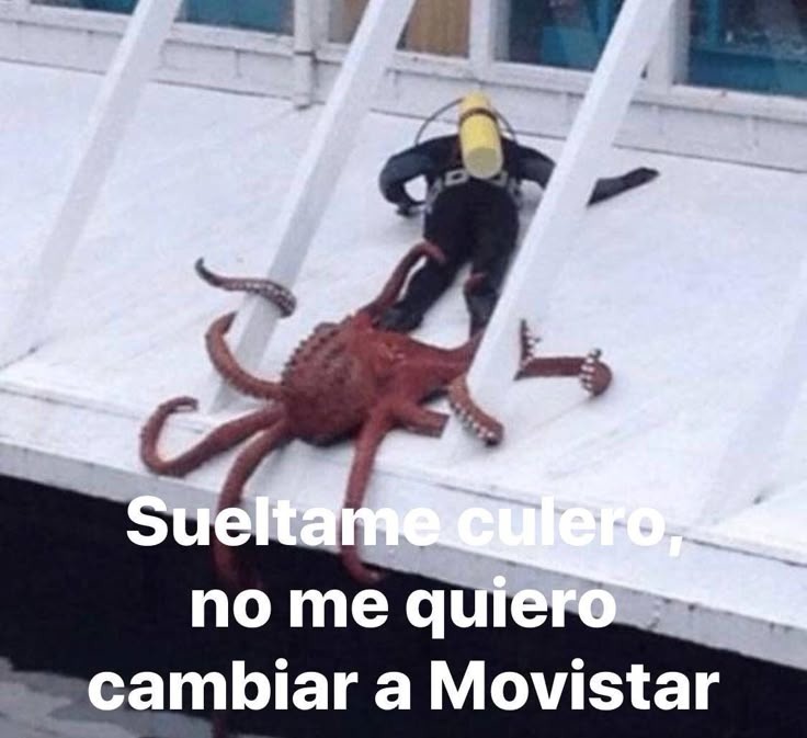 Top memes de Movistar en español :) Memedroid