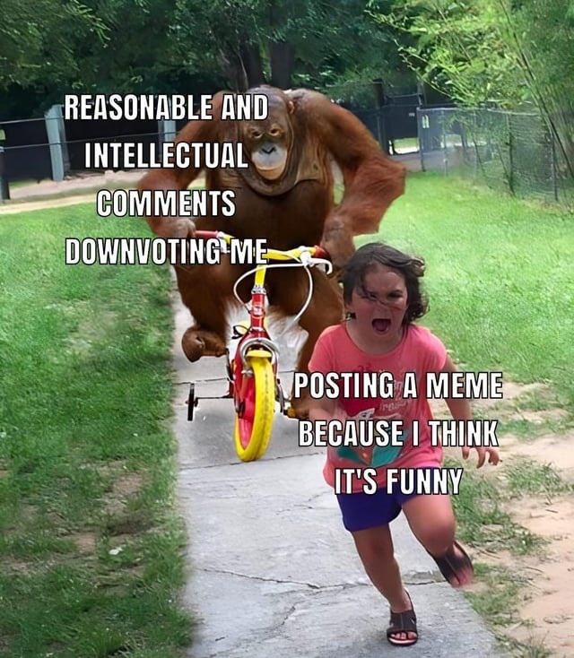 The best Reddit memes :) Memedroid