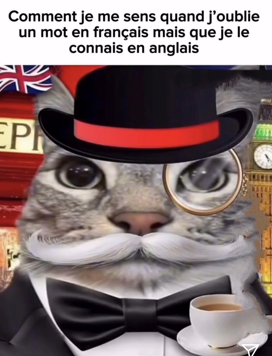 Les meilleurs mèmes Francais :) Memedroid