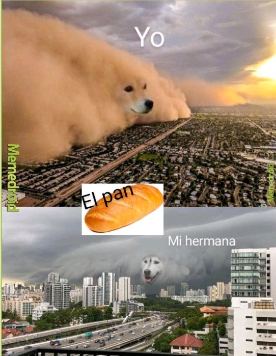 Cuando solo sobra un pan - Meme subido por aguitadecocouwu :) Memedroid