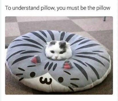 One with the pillow - Meme by TheShaSha :) Memedroid