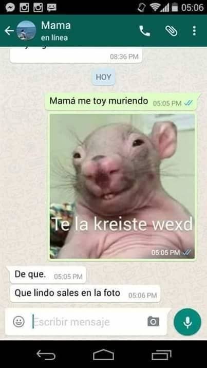 Los Últimos Memes :) Memedroid