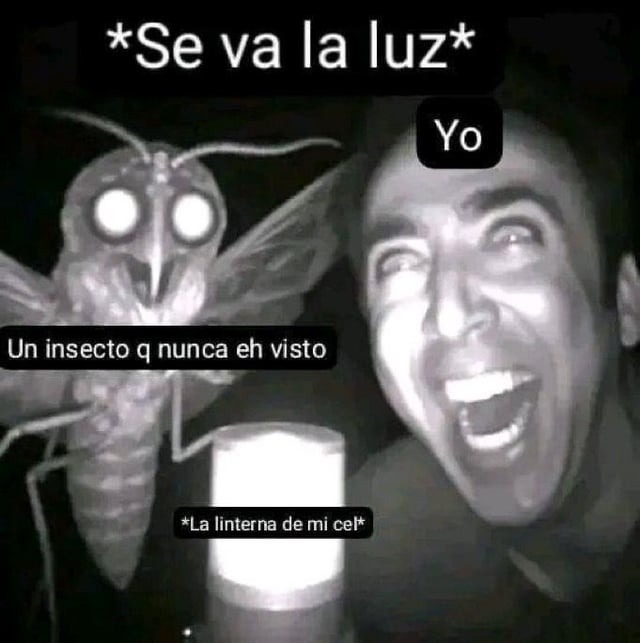 Top memes de Insectos en español :) Memedroid